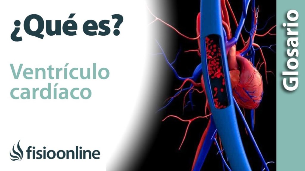 ֍ Ventrículo Cardiaco ⚕️ Clínica Estemedic