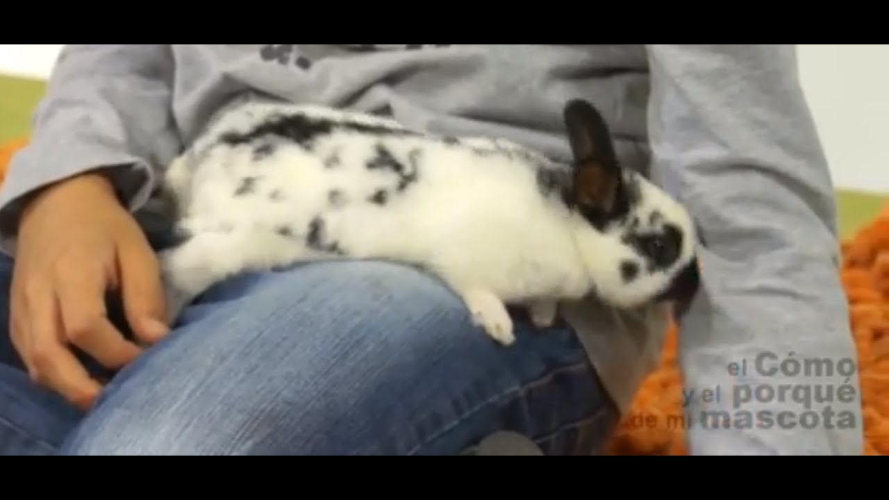 Se puede mover el pie fuertemente al escayolar tras una fractura de ...