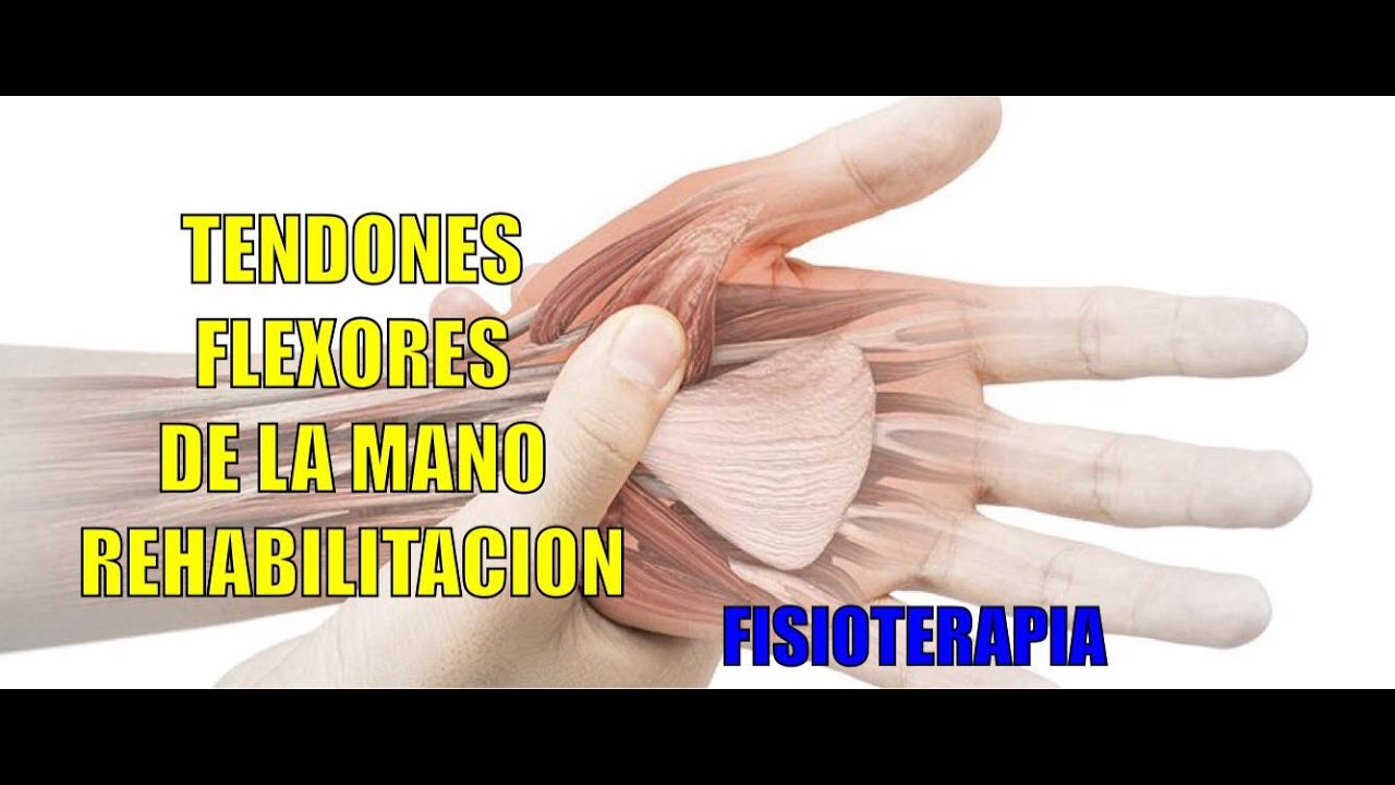 Cómo es la rehabilitación posterior a la operación por ruptura del ...