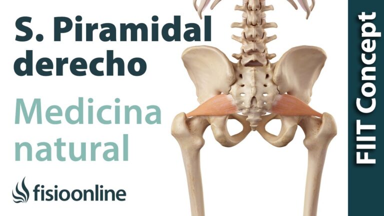 ֍ Síndrome del músculo piramidal: Consejos según la medicina natural ⚕️ ...