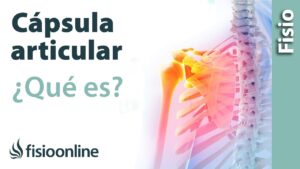 ֍ Cápsula articular y capsulitis: Qué es y cual es su tratamiento ⚕️ ...