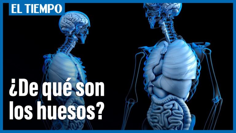 ֍ Hueso ⚕️ Clínica Estemedic